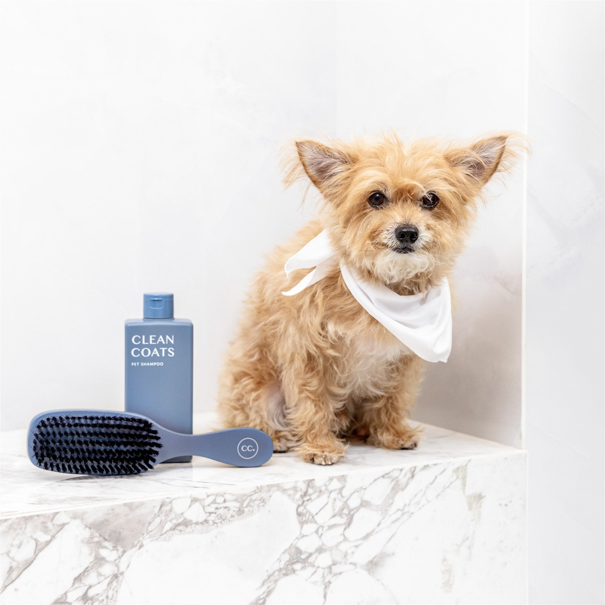 Suds + Soften Bundle – Clean Coats